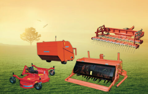 Lawn care on a budget – All the best for the cut!